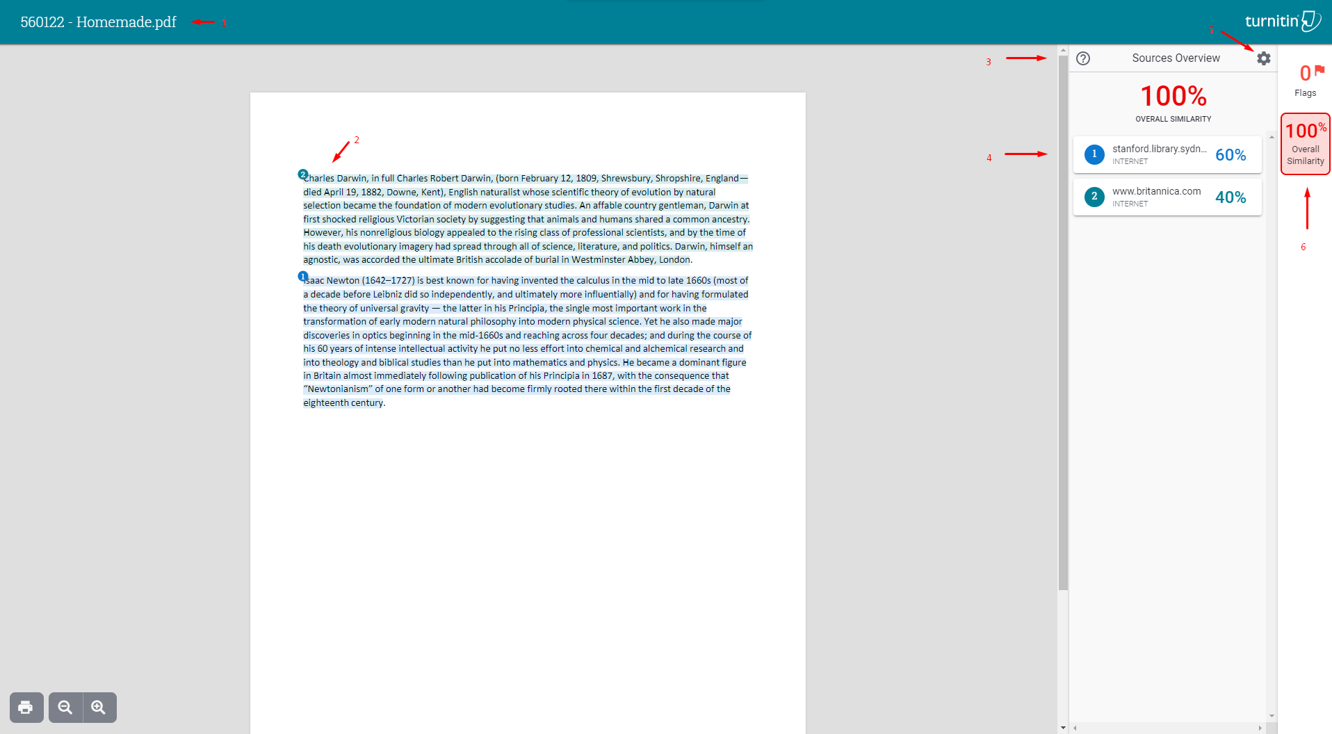 Turnitin Similarity Integration